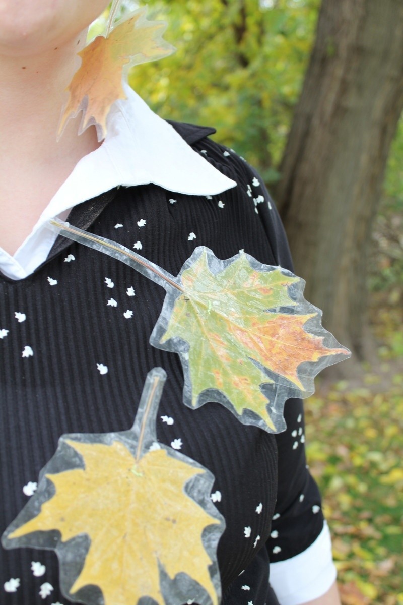 Diy Miss Frizzle Costume For Halloween The Outfit Repeater