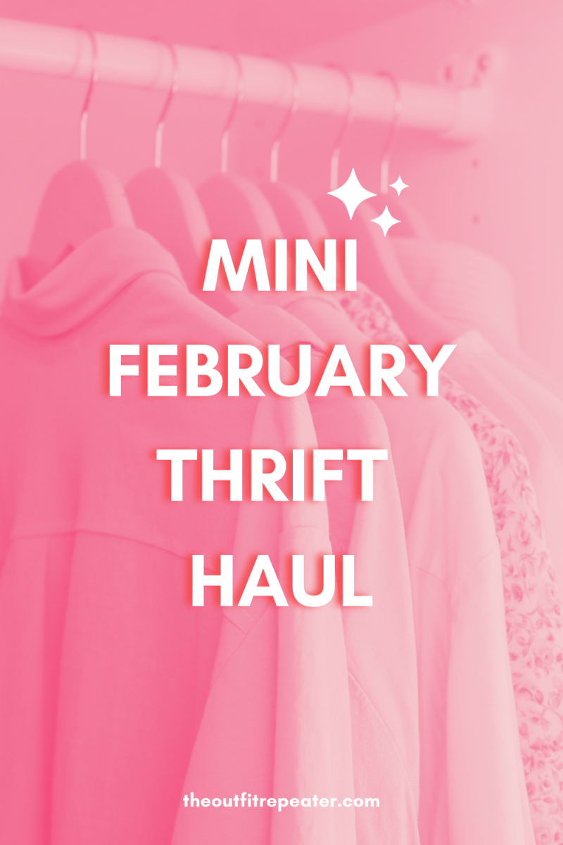 Mini February Thrift Haul + Finding My UNICORN Thrift Item - The Outfit ...